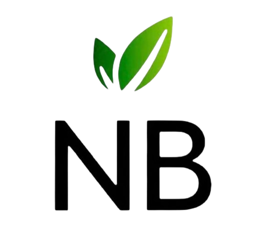 About Us – Nuts Bar